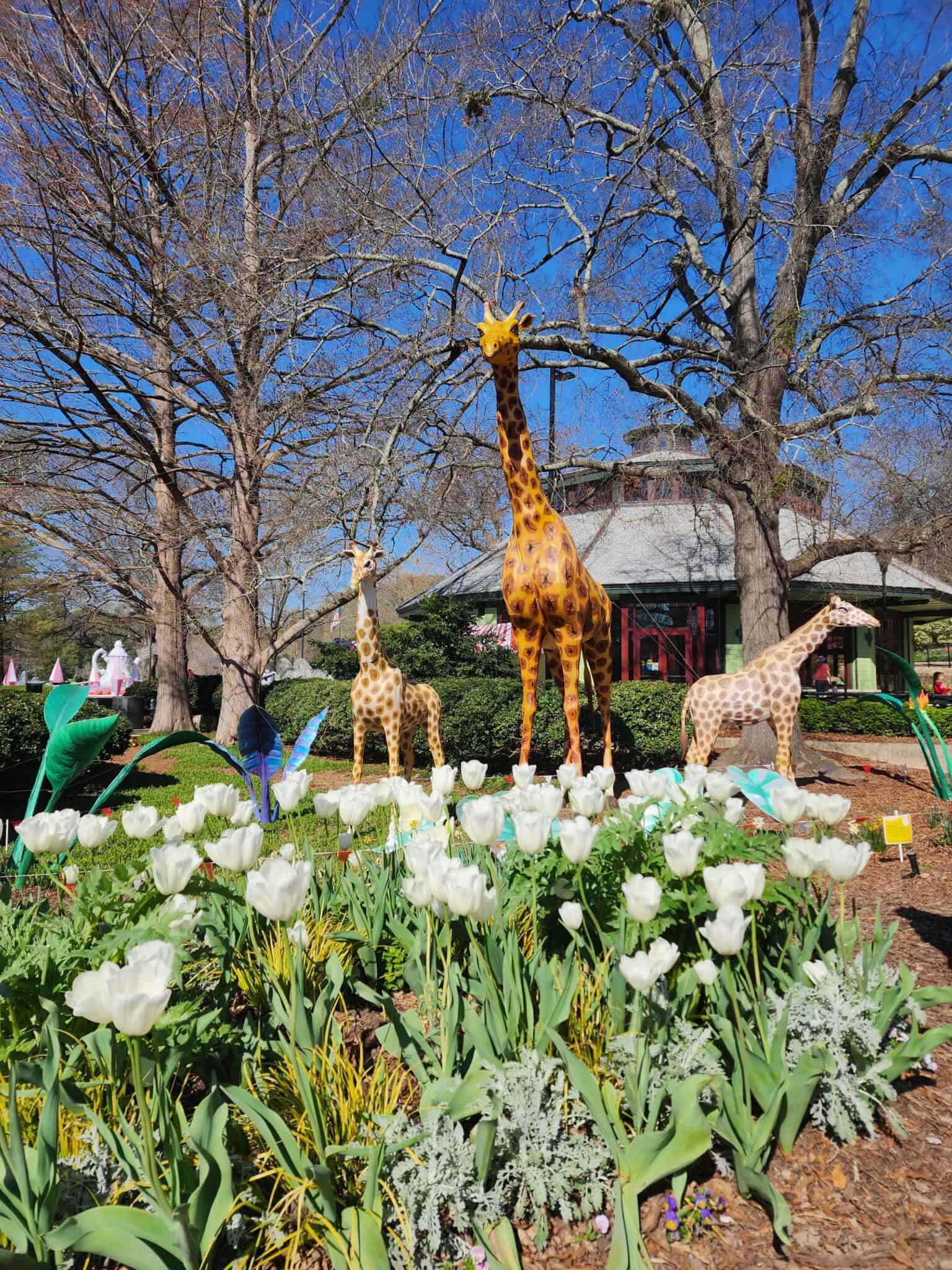 25+ Things to Do in Raleigh With Kids: Triangle Family Fun | Raleigh ...