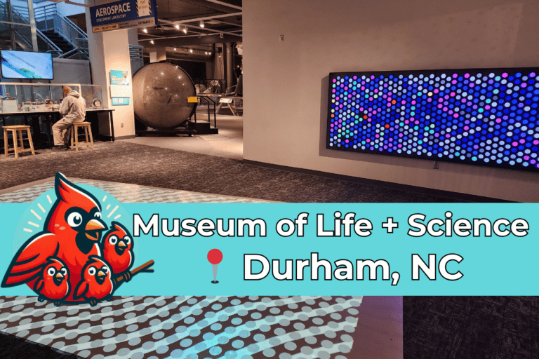 Museum of Life and Science: Awesome Kids Museum in Durham NC | Raleigh ...