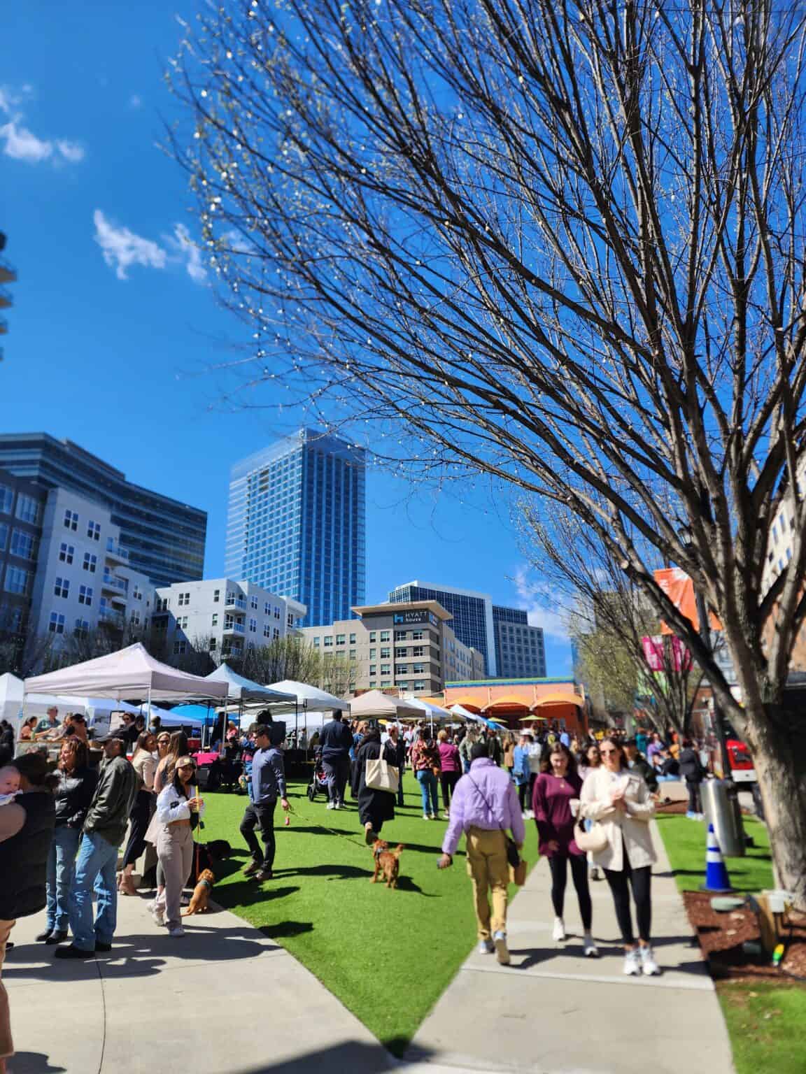 30 Fun Things to Do in Raleigh With Kids: A Local Mom's Guide | Raleigh ...