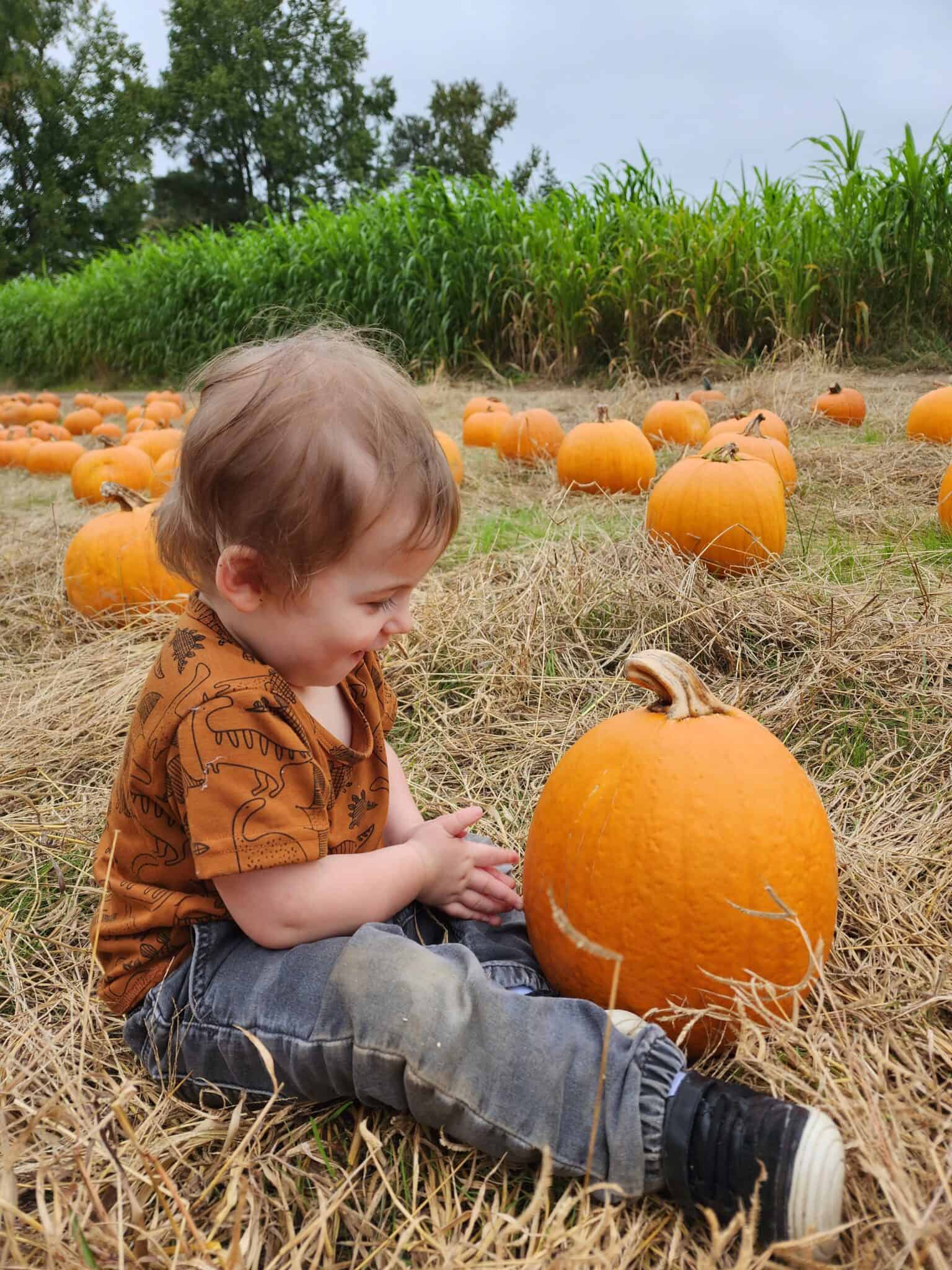 Best Kids Fall Activities in the Triangle: Farms, Festivals, and Fun ...
