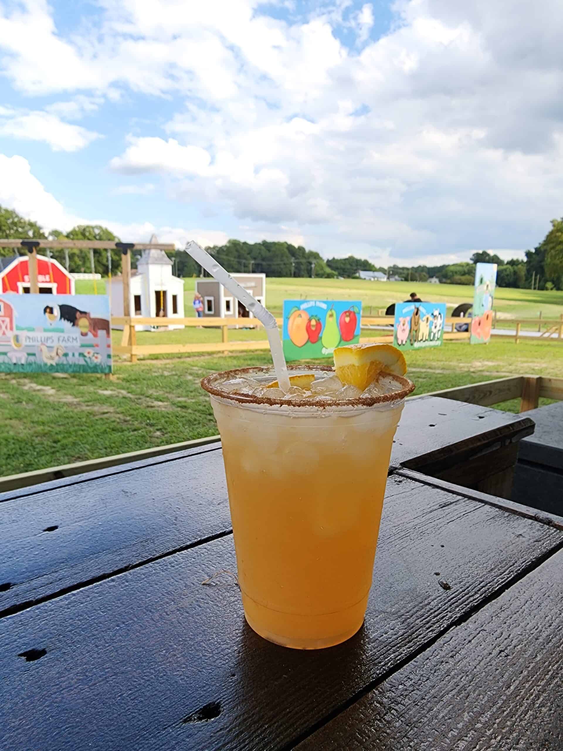 Best Kids Fall Activities in the Triangle: Farms, Festivals, and Fun ...