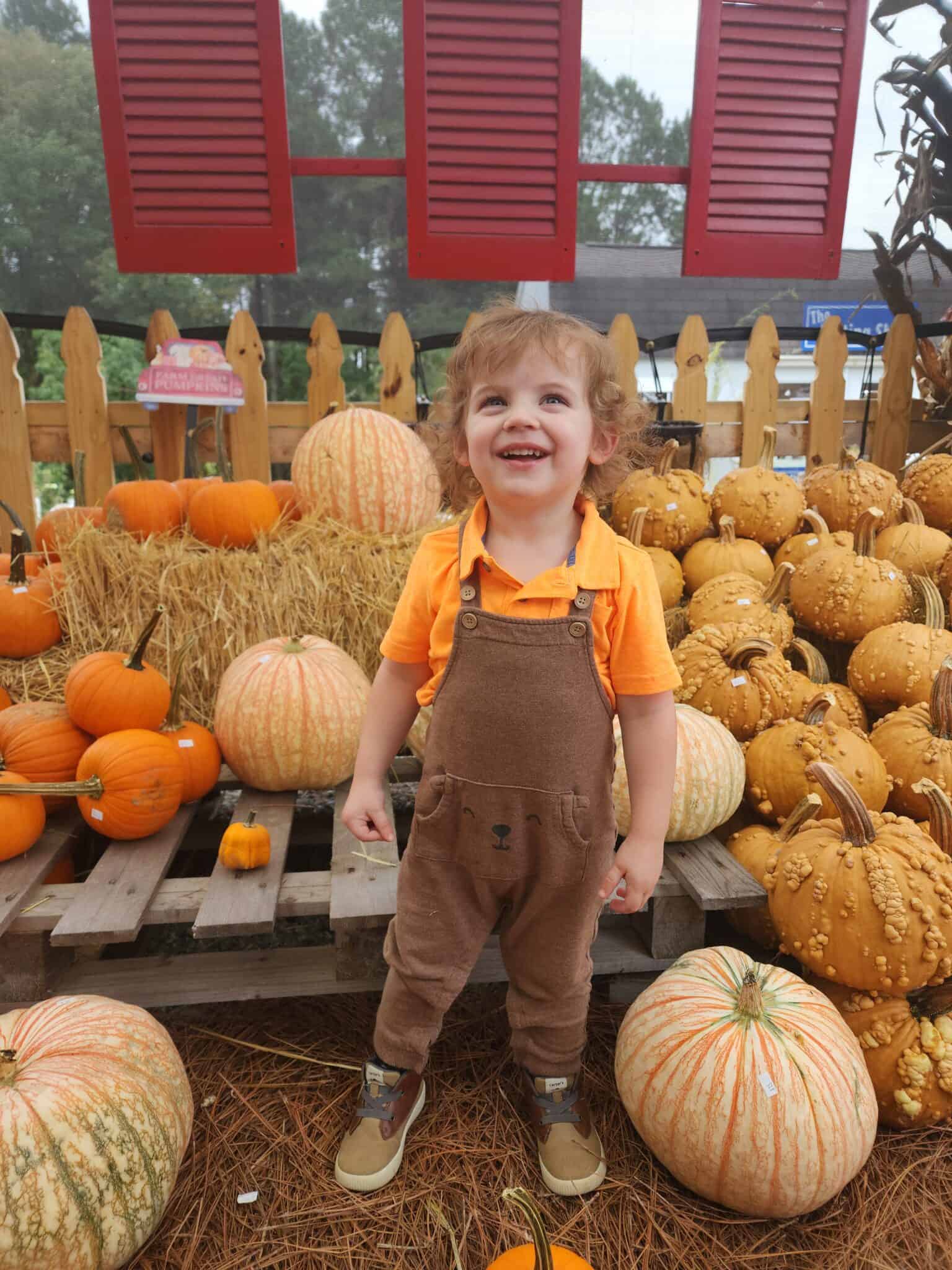 Best Kids Fall Activities in the Triangle: Farms, Festivals, and Fun ...