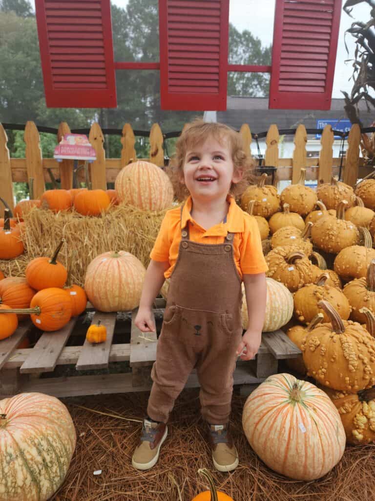 Best Kids Fall Activities in the Triangle: Farms, Festivals, and Fun ...