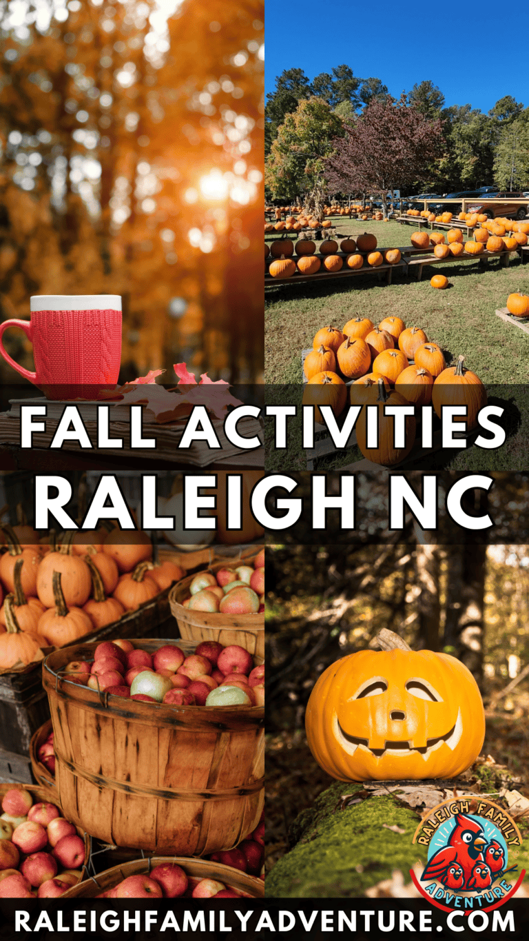 Best Kids Fall Activities in the Triangle: Farms, Festivals, and Fun ...