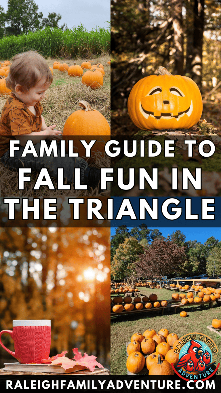 Best Kids Fall Activities in the Triangle: Farms, Festivals, and Fun ...