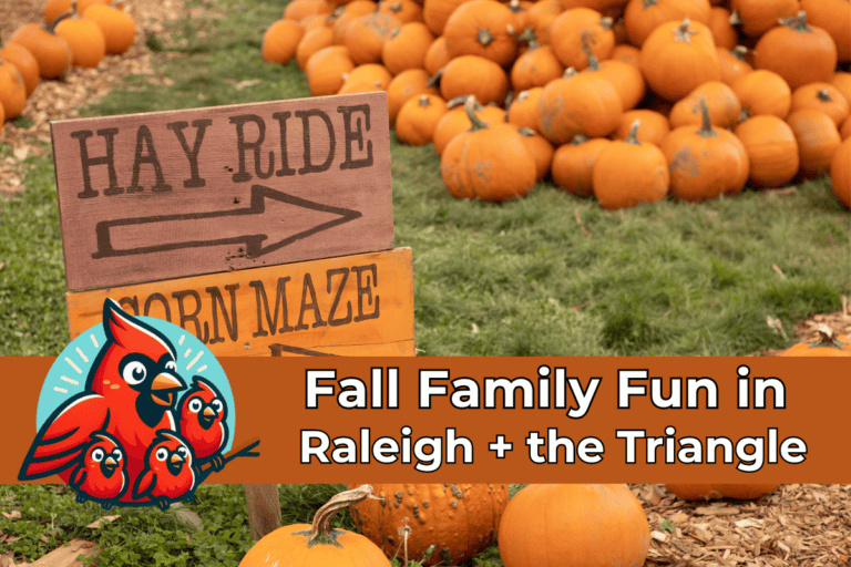 Best Kids Fall Activities in the Triangle: Farms, Festivals, and Fun ...