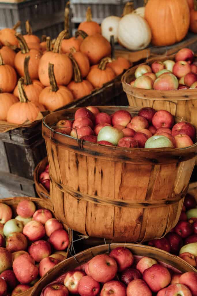 Best Kids Fall Activities in the Triangle: Farms, Festivals, and Fun ...