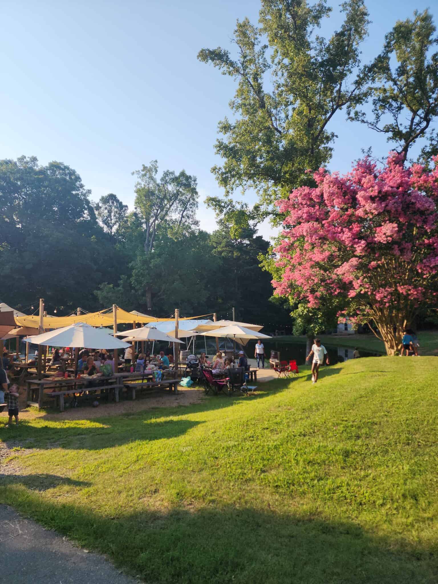 Kid-Friendly Farm Visits & Animal Encounters in the Triangle | Raleigh ...