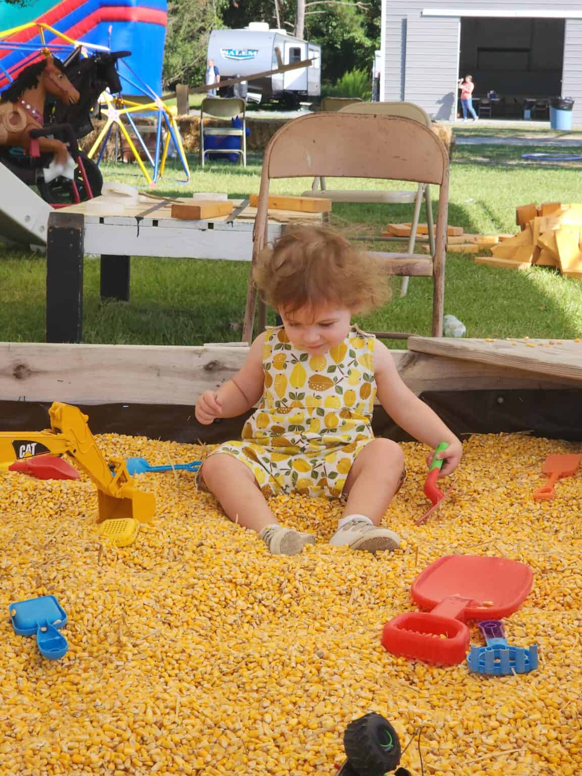 Kid-Friendly Farm Visits & Animal Encounters in the Triangle | Raleigh ...