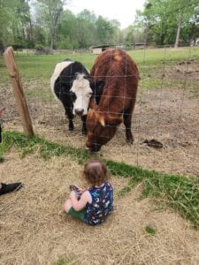 Kid-Friendly Farm Visits & Animal Encounters in the Triangle | Raleigh ...