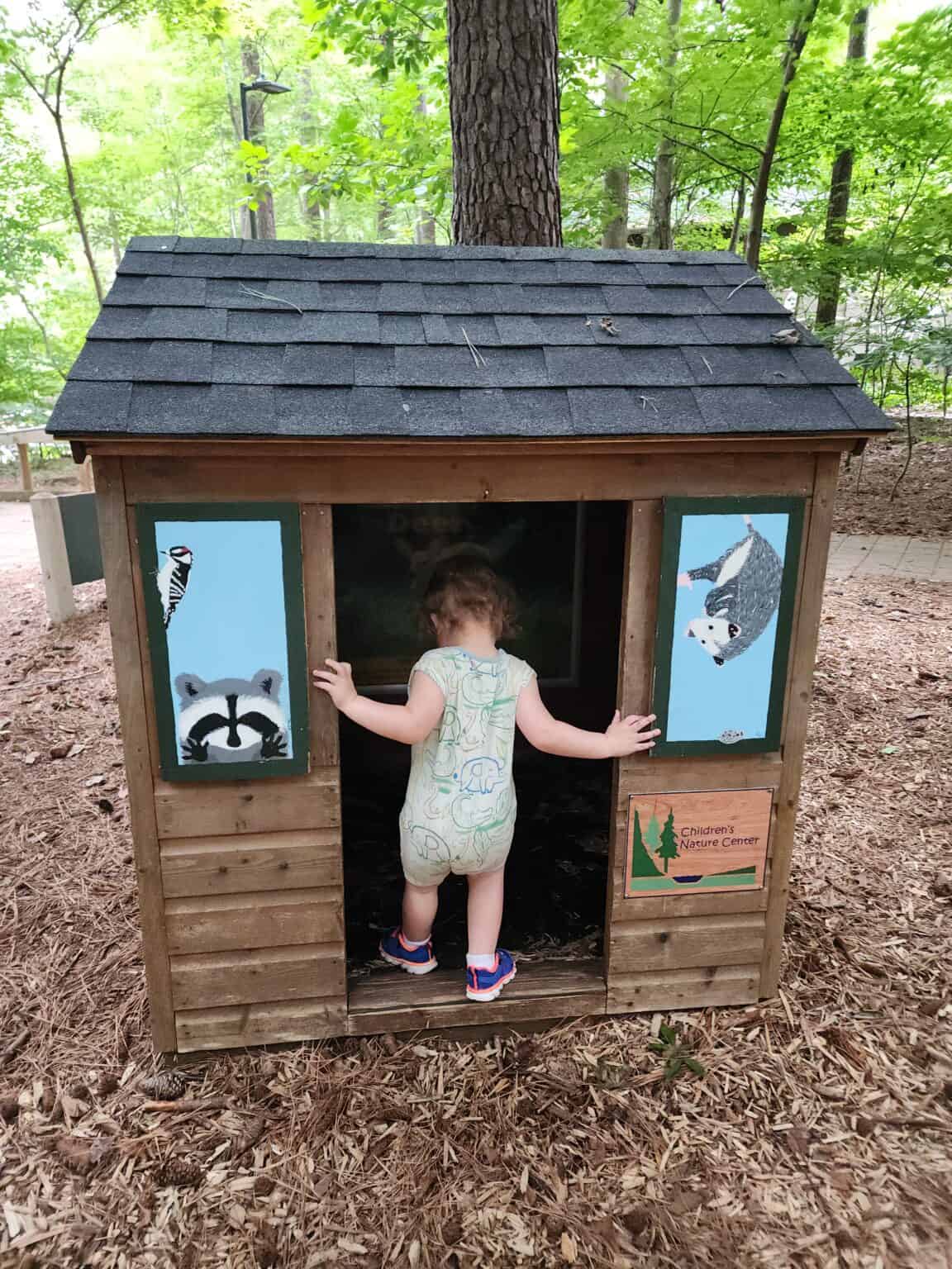 30+ Fun Things to Do in Cary NC With Kids | Raleigh Family Adventure