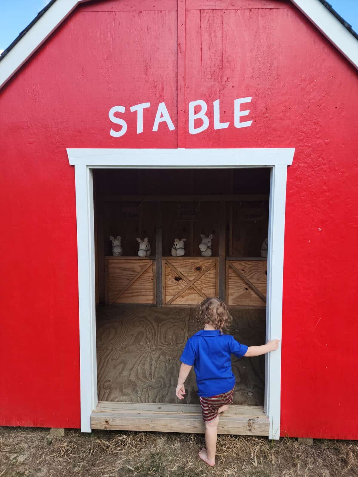 30+ Fun Things to Do in Cary NC With Kids | Raleigh Family Adventure