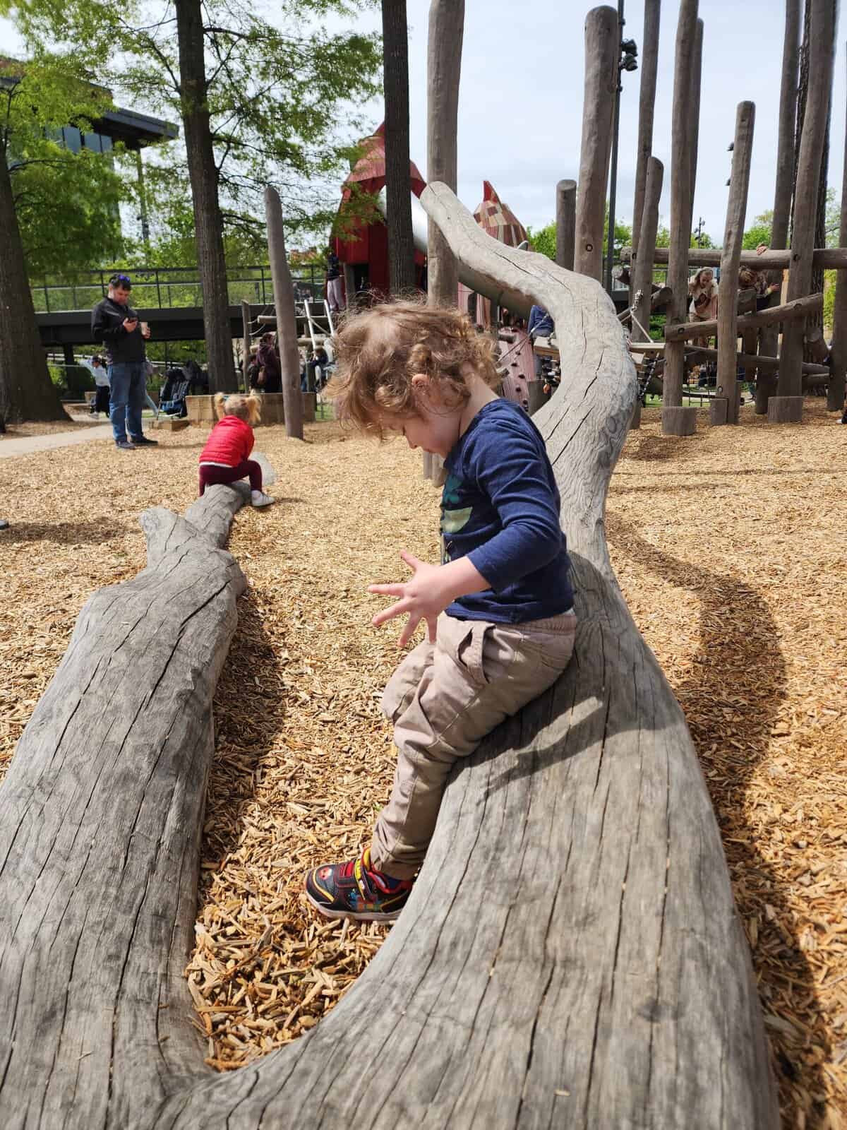 30+ Fun Things to Do in Cary NC With Kids | Raleigh Family Adventure
