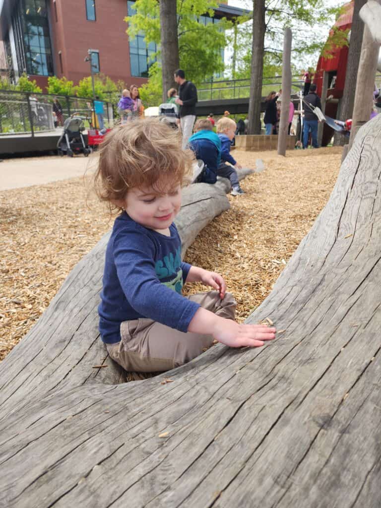 30+ Fun Things to Do in Cary NC With Kids | Raleigh Family Adventure