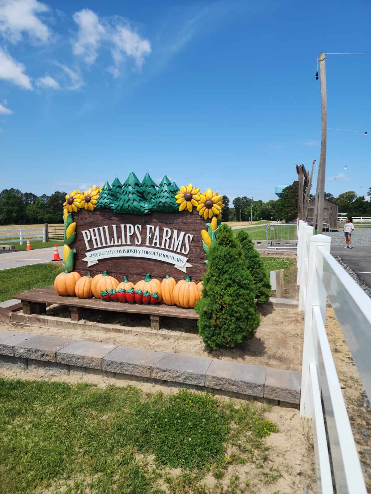 30+ Fun Things to Do in Cary NC With Kids | Raleigh Family Adventure