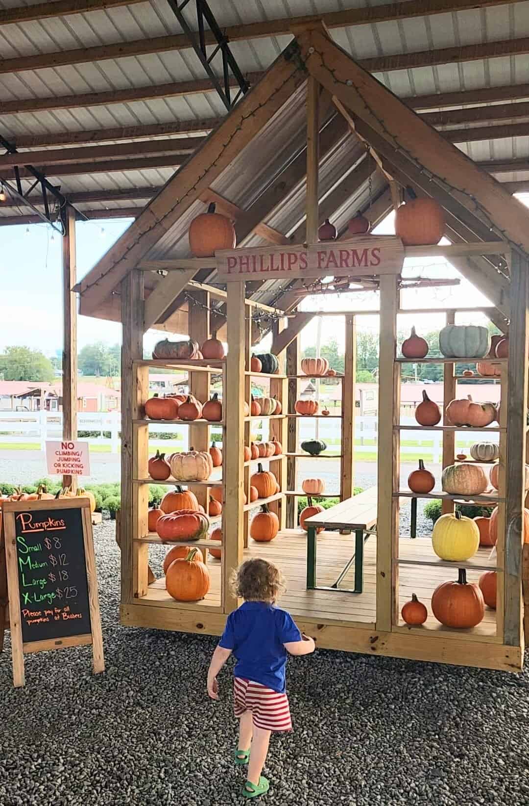 30+ Fun Things to Do in Cary NC With Kids | Raleigh Family Adventure